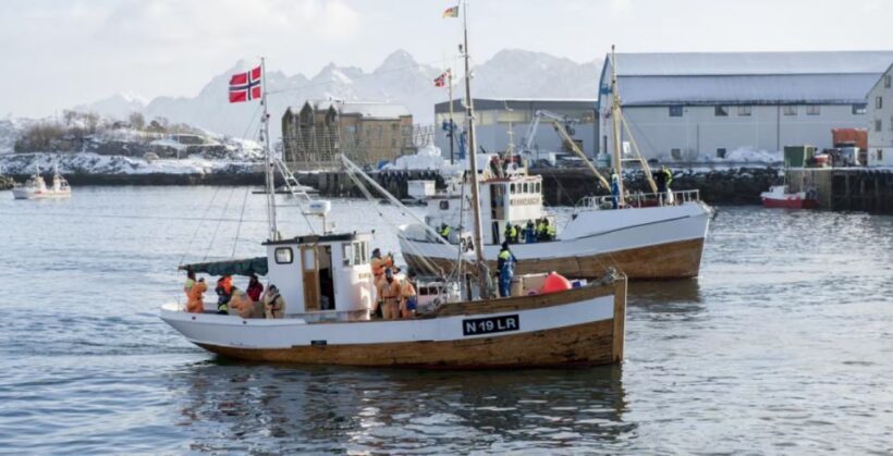 Svolvær: Fishing Trip on the Lofoten Sea - The Value of the Trip