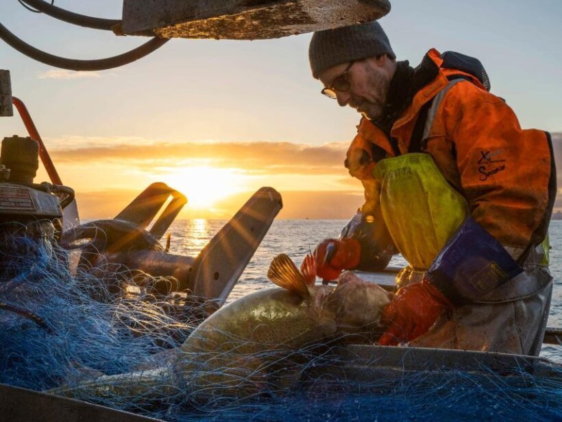 Svolvær: Fishing Trip on the Lofoten Sea - The Sum Up