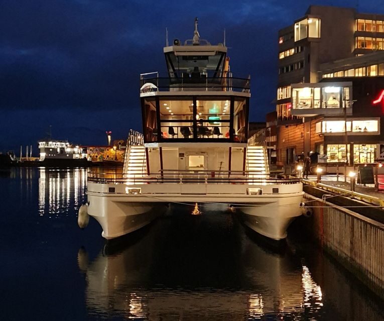 Svolvær: Northern Lights and Full Steam Cruise with Tasting - Key Points