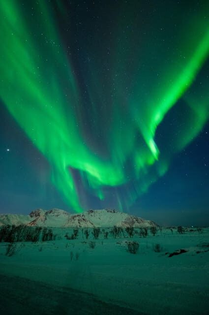 Svolvær: Ultimate Aurora Hunt - Authentic Experiences and Traveler Feedback