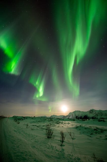 Svolvær: Ultimate Aurora Hunt - FAQs