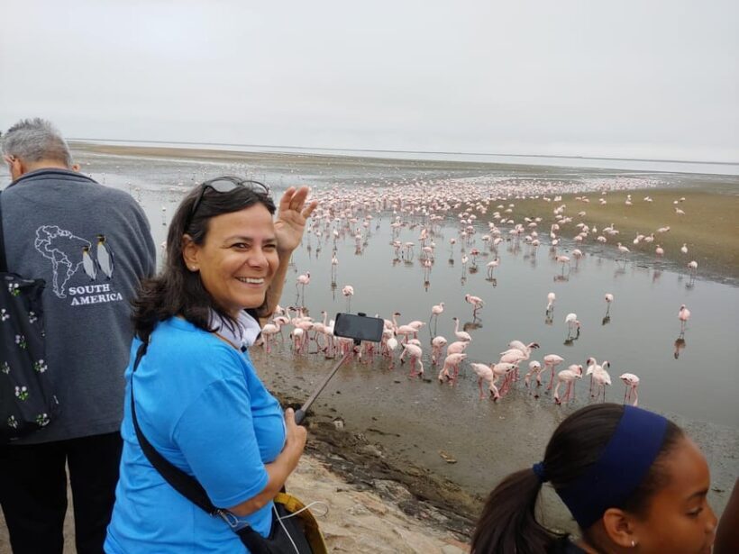 swakopmund city tour dune 7 pink lake pink flamingos - Transportation and Group Dynamics