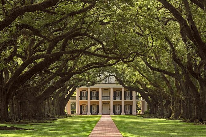 Swamp Boat Ride and Oak Alley Plantation Tour from New Orleans - The Sum Up