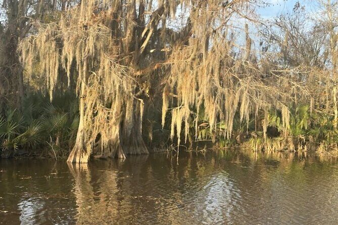 Swamp - Eco - Cruise and Walking Tour - FAQ