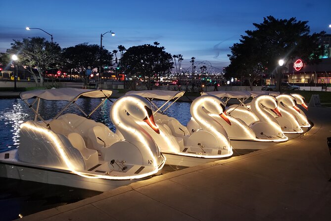 Swan Boat Rental at Rainbow Lagoon - Customer Experiences and Feedback