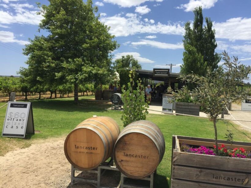 Swan Valley: Full-Day Wine Tour with Lunch - Key Points