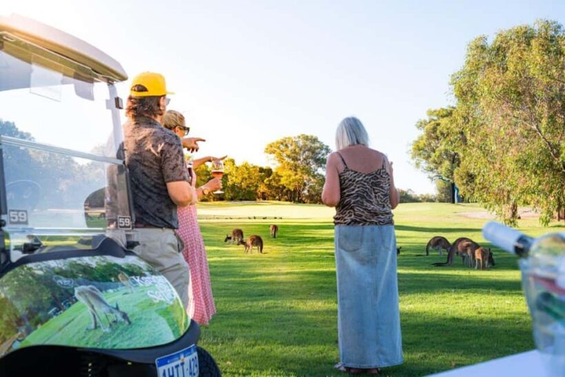Swan Valley: Golf Cart Kangaroo Safari w/ Mini Golf & Drink - Exploring the Tour: An Authentic and Enjoyable Wildlife Safari