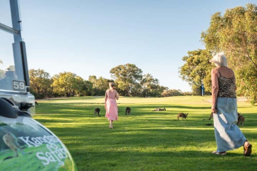 Swan Valley: Golf Cart Kangaroo Safari w/ Mini Golf & Drink - What to Expect from the Experience