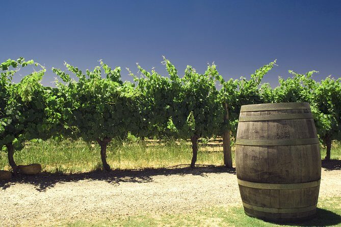 Swan Valley Private Tour - An In-Depth Look at the Swan Valley Private Tour