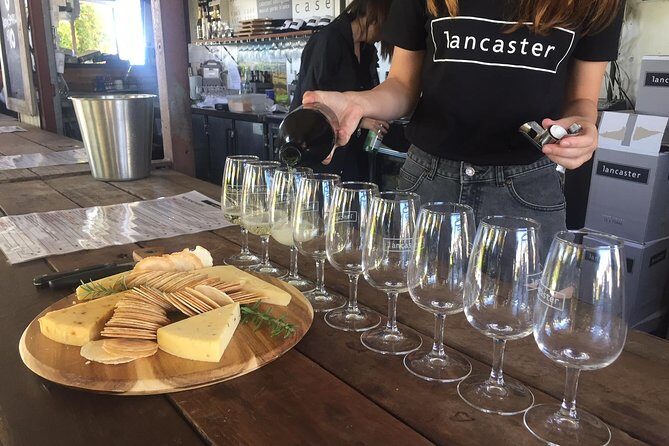 Swan Valley Wine Tour - Half Day Afternoon - Who Should Consider This Tour?