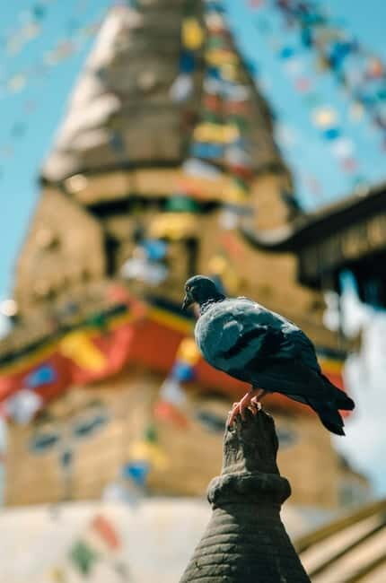 Swayambhunath: Sunset and City Lights Tour - An In-Depth Look at the Swayambhunath Sunset and City Lights Tour