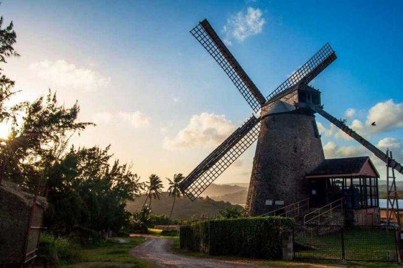 Sweet Life Island Tours - FAQ