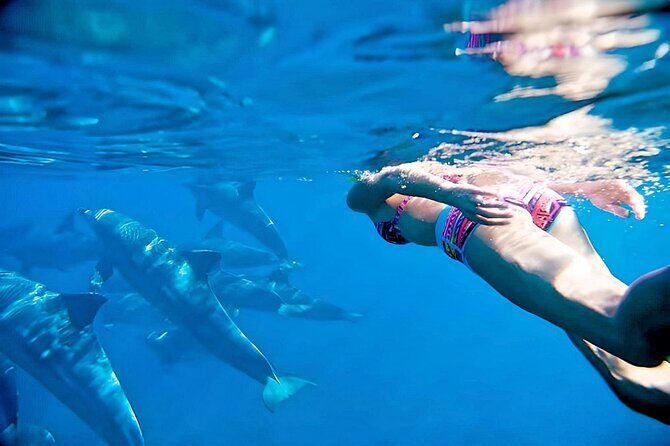 Swim and Paddle Board with Wild Dolphin Pods in Puerto Vallarta - Discover Puerto Vallarta’s Wild Dolphins: A Practical, Authentic Tour Review