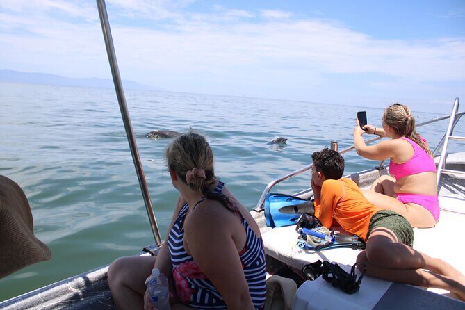 Swim and Paddle Board with Wild Dolphin Pods in Puerto Vallarta - Key Points