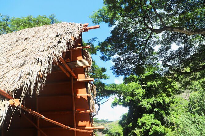 Swim at Oahu Waterfall in Waimea with Coffee, Lunch and Dole - An In-Depth Look at the Day’s Journey