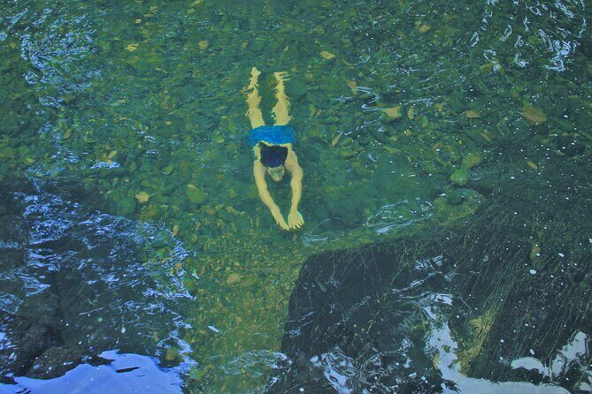 Swim, Explore & Identify Tropical Flora - Practical Tips for Travelers