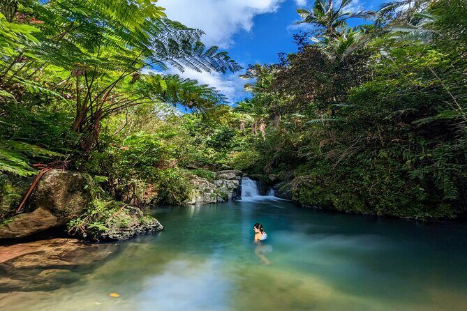 Swim, Explore & Identify Tropical Flora - Who Will Love This Tour?
