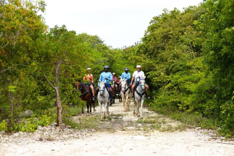 Swim Horse fom Punta Cana - Authentic Experiences and Honest Reviews