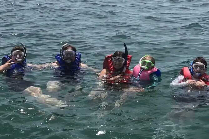 Swim with Dolphins And Snorkeling Group Tour - A Closer Look at the Experience