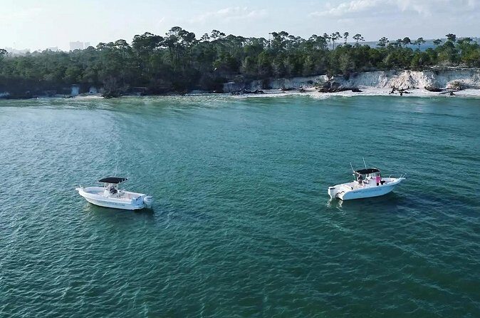 Swim with Dolphins And Snorkeling Group Tour - Who Should Consider This Tour?