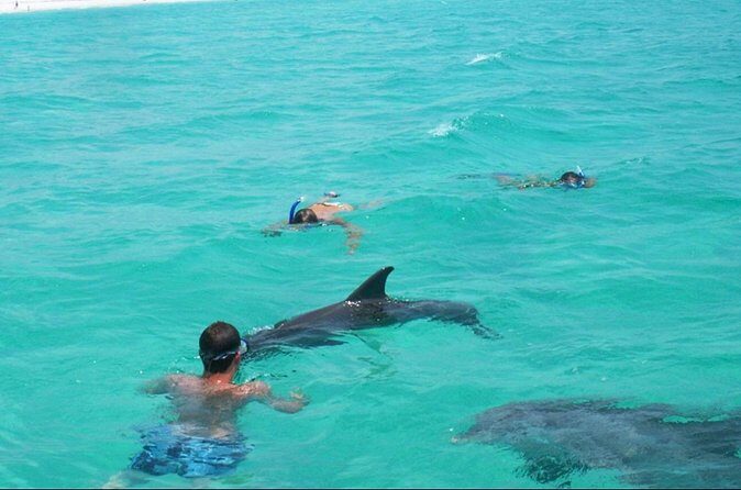 Swim with Dolphins And Snorkeling Group Tour - FAQ