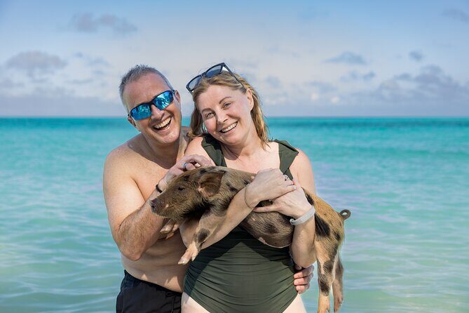 Swim with Famous Pigs at Rose Island - Practical Tips for Booking and Enjoying the Tour