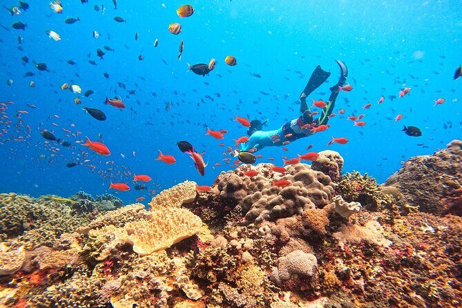 Swim with Manta Rays: Snorkeling Day Trip from Bali - Exploring the Itinerary: What You Can Expect