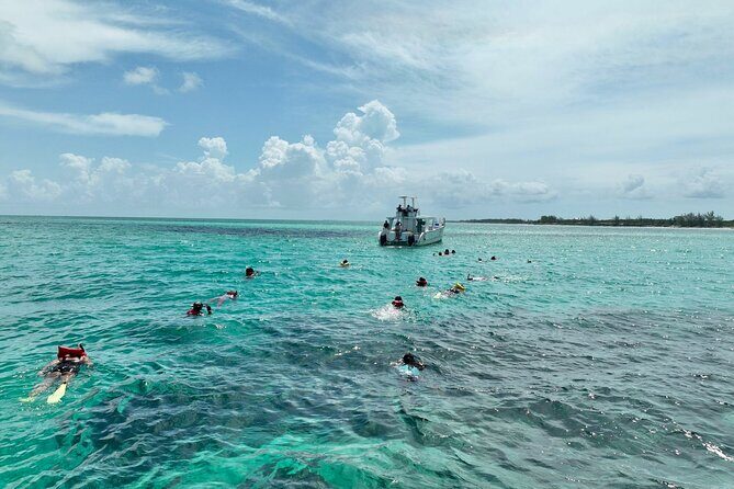 Swim with Pigs and Beach Snorkeling Adventure Rose Island Bahamas - An In-Depth Look at the Tour Experience