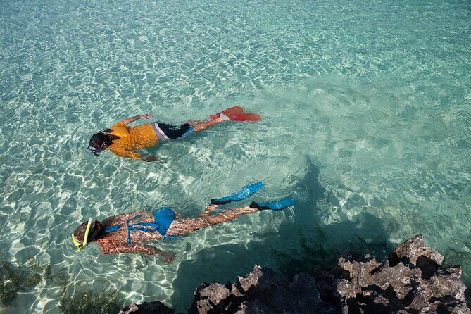 Swim with Pigs and Beach Snorkeling Adventure Rose Island Bahamas - FAQ