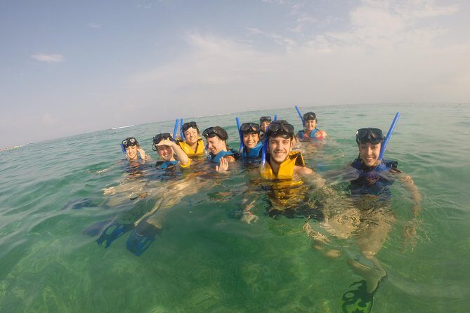Swim with sea turtles - FAQ: Practical Questions Answered