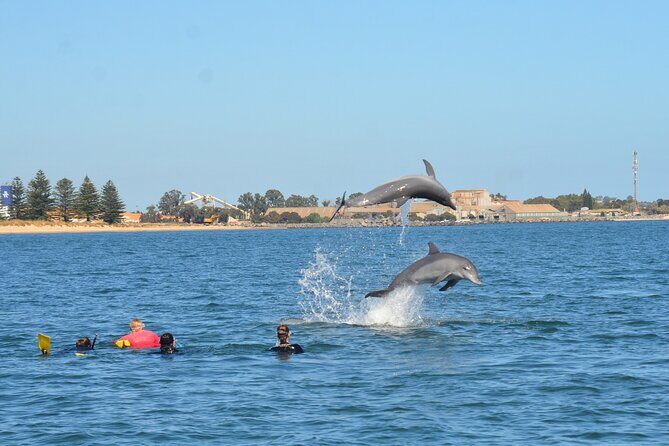 Swim With The Dolphins Experience in Bunbury Australia - FAQ