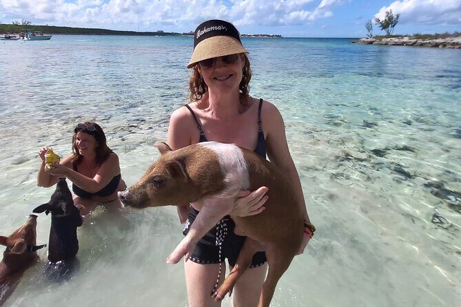 Swim with the Pigs and Explore Caves in Nassau - FAQs