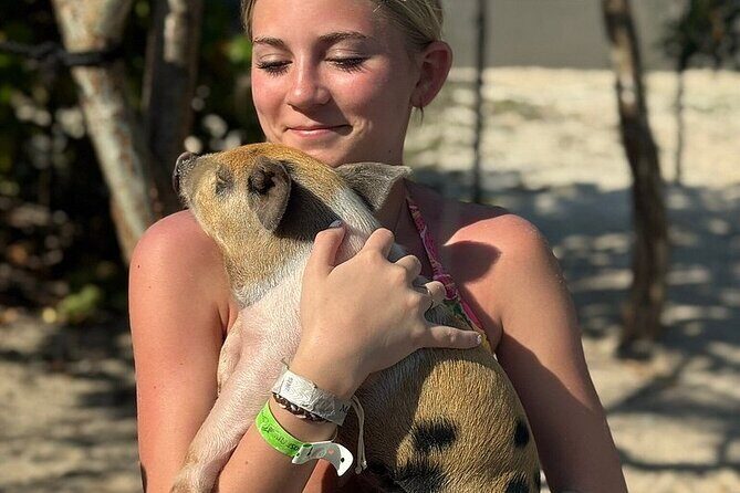 Swim with the Pigs Freeport @Creative Eco Adventures - Authenticity and Quality