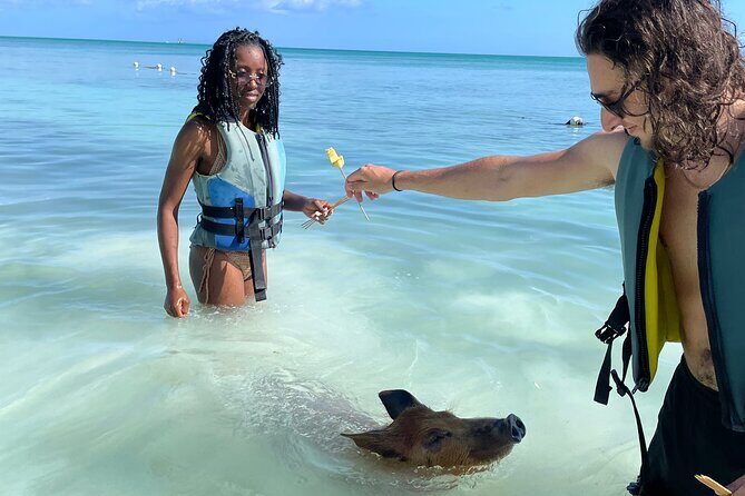 Swim with the Pigs Freeport @Creative Eco Adventures - FAQ