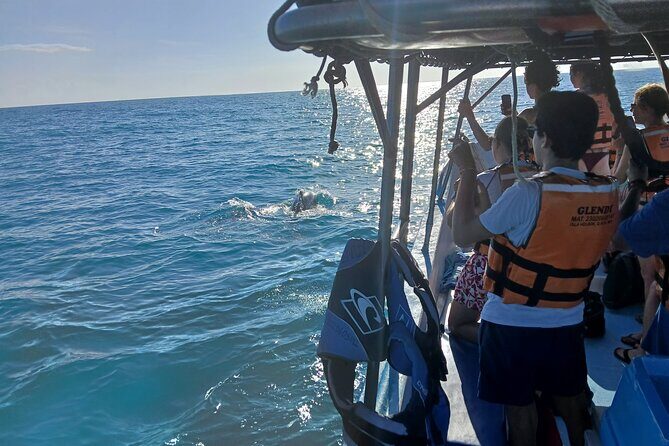 Swim with the Whale Shark on Holbox Island - An In-Depth Look at the Holbox Whale Shark Tour