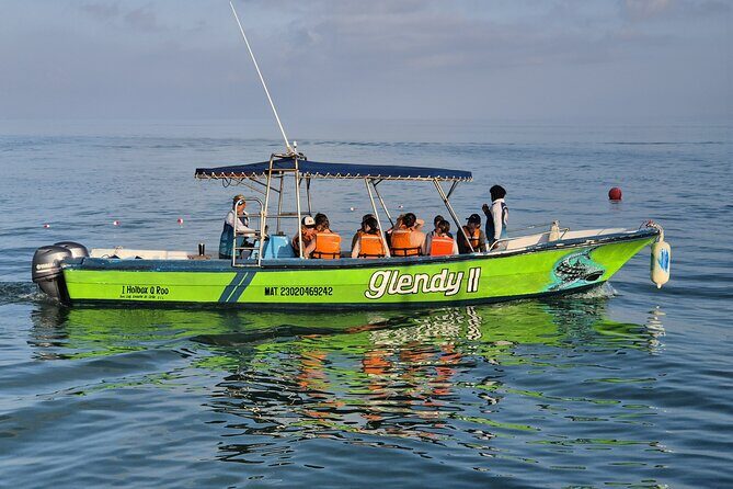 Swim with the Whale Shark on Holbox Island - Group Size and Booking