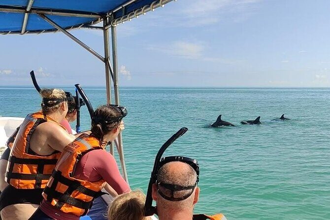 Swim with the Whale Shark on Holbox Island - Who Should Consider This Tour?
