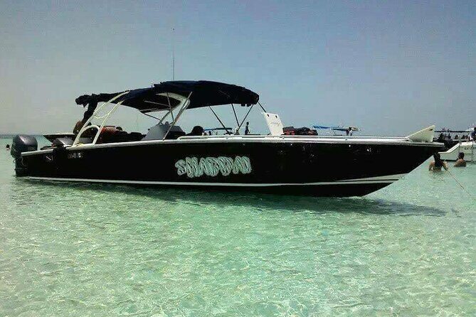 Swim with Whale Sharks Private tour from Playa del Carmen - Key Points