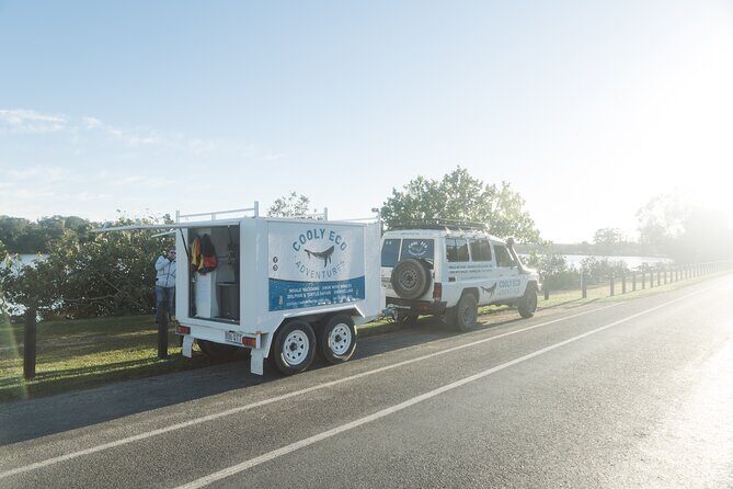 Swim with Whales Gold Coast - The Sum Up: Is This Experience Worth It?