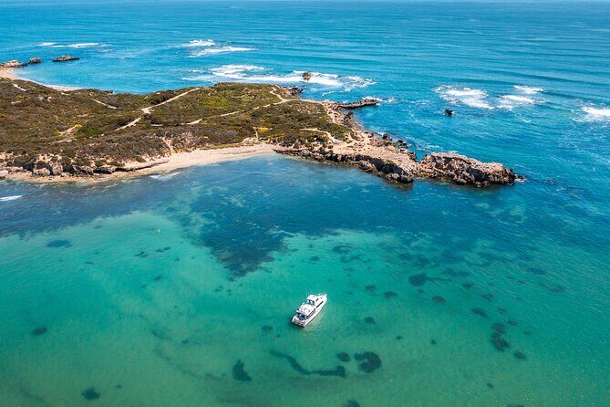 Swim with Wild Dolphins Day Tour - Who Should Consider This Tour?
