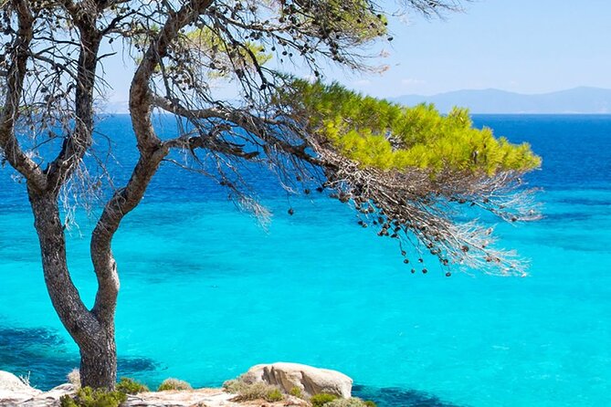 Swimming and Relax in Beautiful Beaches.(Small Group) - Customer Reviews and Feedback