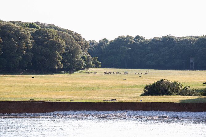 Swimming and Snorkeling in Fazana - The Included and Not Included Details