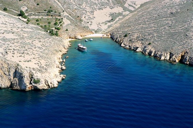 Swimming and Snorkeling on Wild Bays With Captain Bobo - Additional Information for Travelers