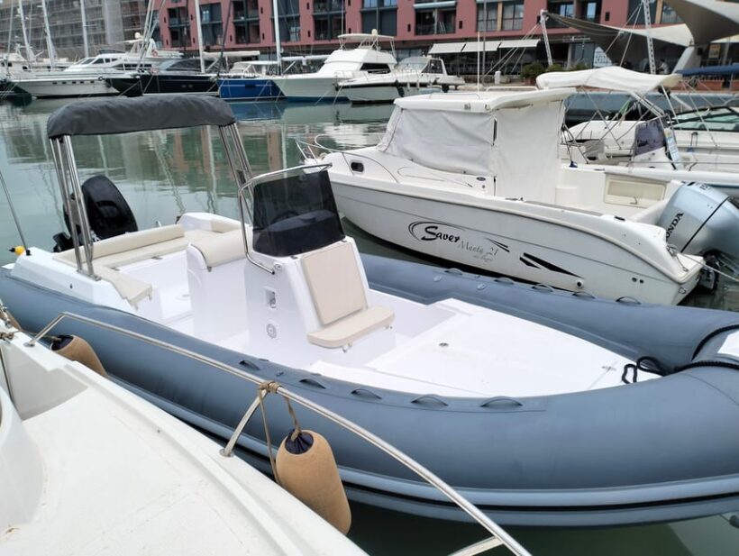 Swimming Cetacea Private Tour Boat Genova Portofino - The Sum Up