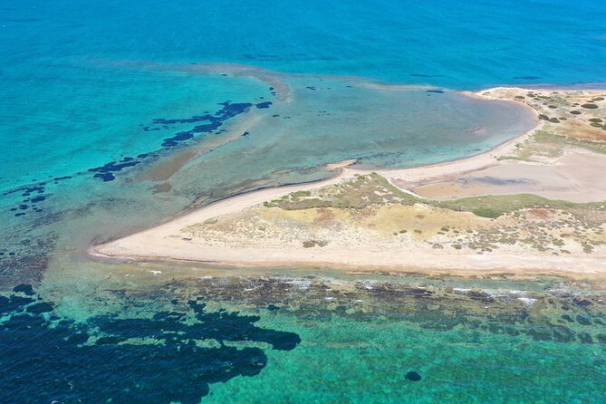 Swimming Cruise From Athens With Free Lunch, Wine & DJ on Board - Meeting and Pickup Logistics