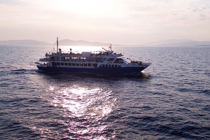 Swimming Cruise From Athens With Free Lunch, Wine & DJ on Board - Potential Issues and Concerns