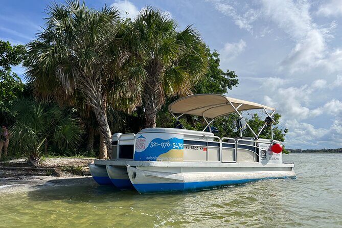 Swimming in a Dolphin and Manatee Lagoon Boat Tour - Who Should Consider This Tour?