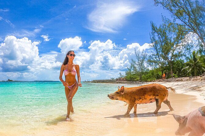 Swimming Pigs and Pearl Island Beach Escape - Final Thoughts