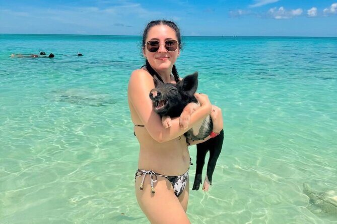Swimming Pigs and Private Beach Club Escape - A Close Look at the Experience