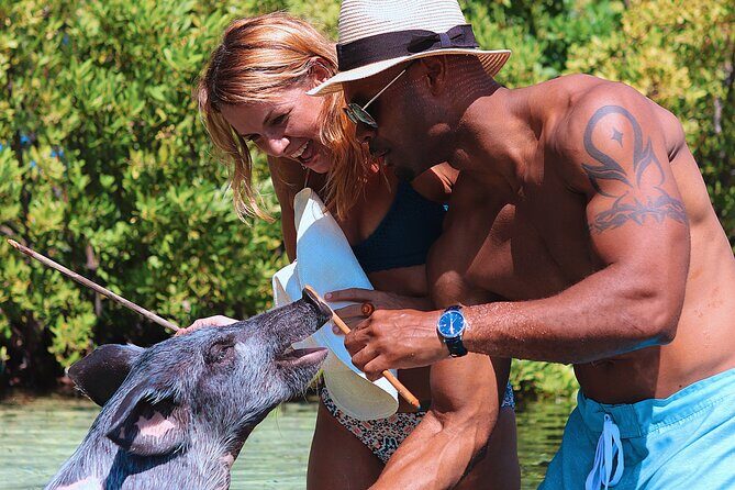 Swimming Pigs & ATV Tour - The Sum Up: Who is This Tour For?